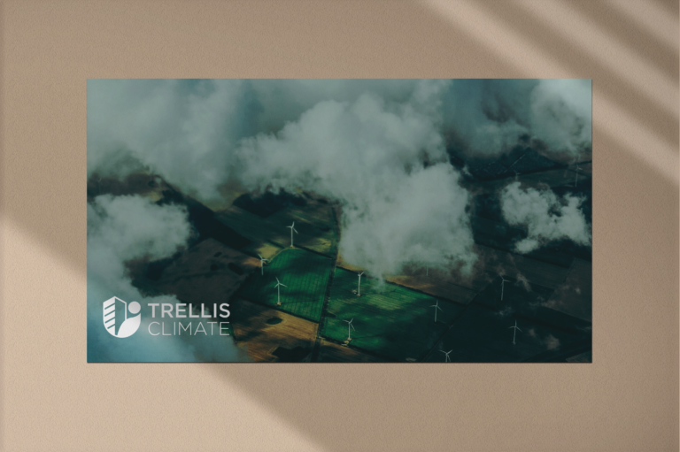 Trellis Climate - Blackbird Revolt